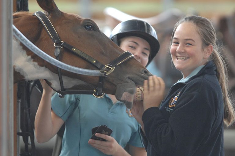 Equine Studies (VET) - Handbooks